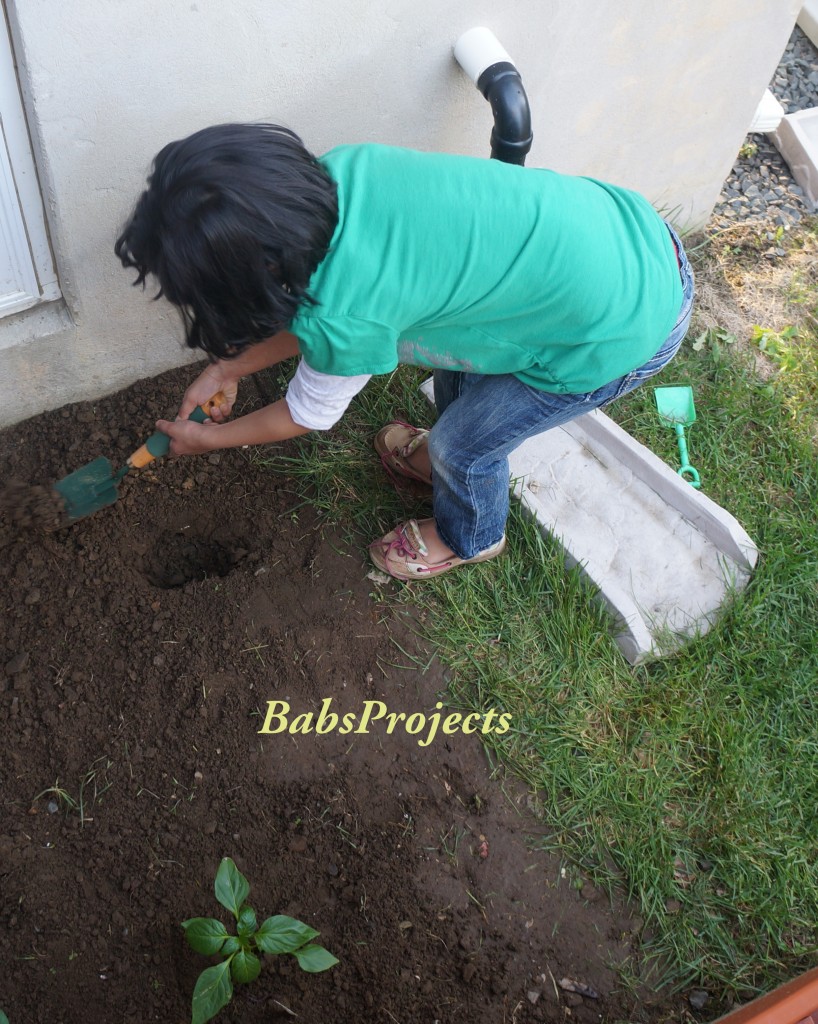 Our First Vegetable Garden – Babs Projects