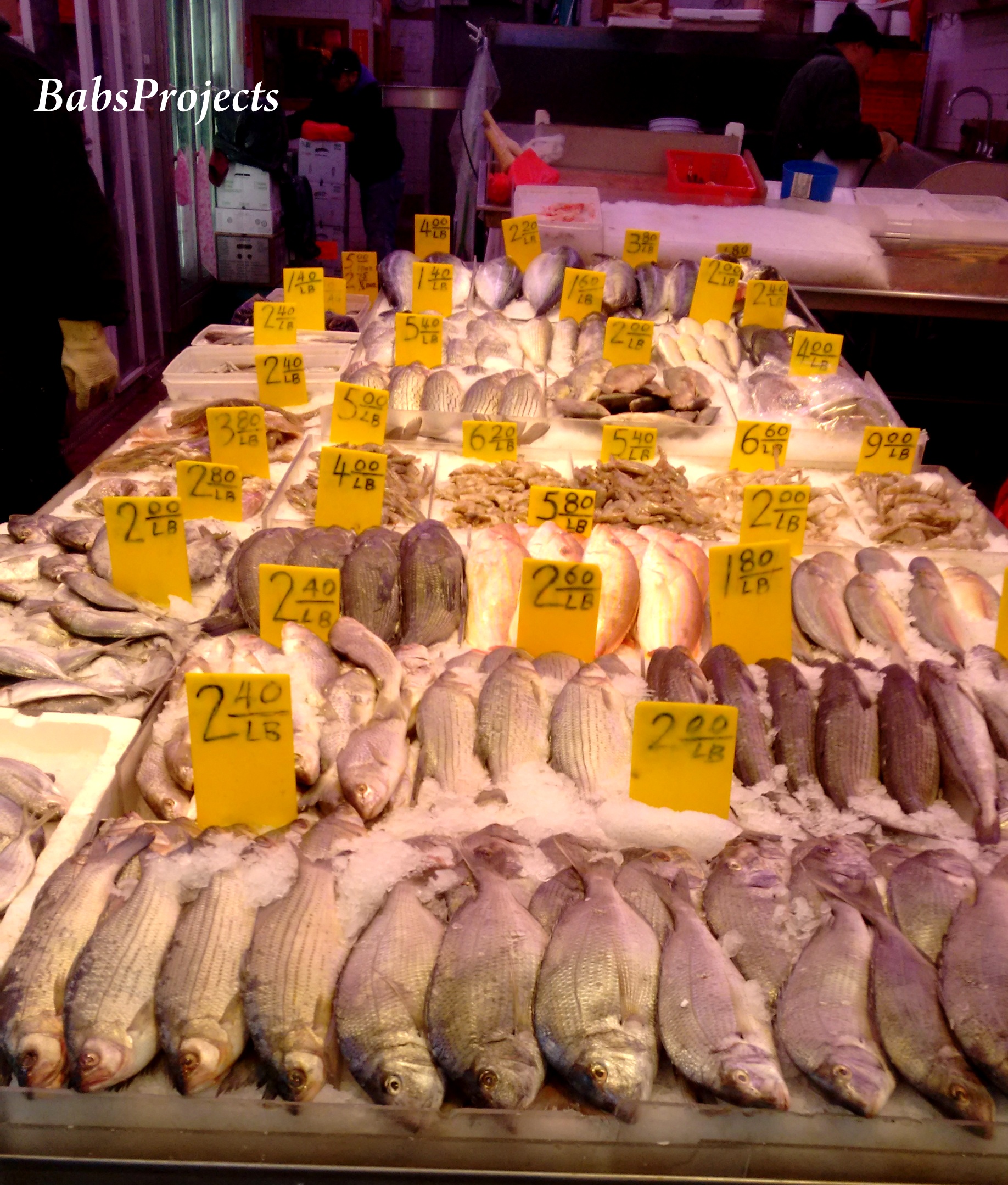 Our Trip to Chinatown and Rockefeller Center – Babs Projects